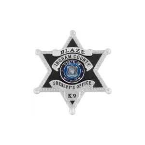 6 Point Stars | Smith & Warren®